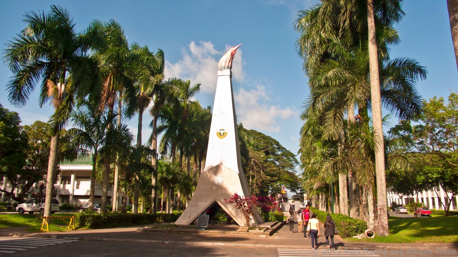 Tree Travels: University of the Philippines Los Banos Tree Travels: University of the Philippines Los Banos