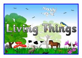 Living Things and Non- Living Things