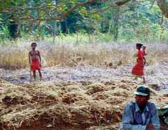 KANI TRIBE ~ Indian Tribes & Conservation of Biodiversity
