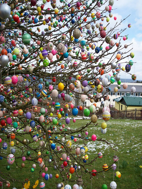 Gi Melo: História de Osterbaum!! (comemoração da Páscoa)