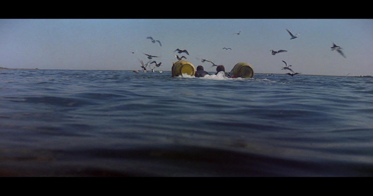 Recently Discovered Original Jaws 2 Script (Opening) Inspired Alien 3 ...