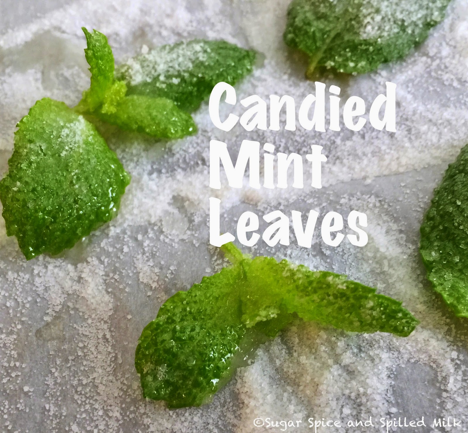 Candied Mint Leaves
