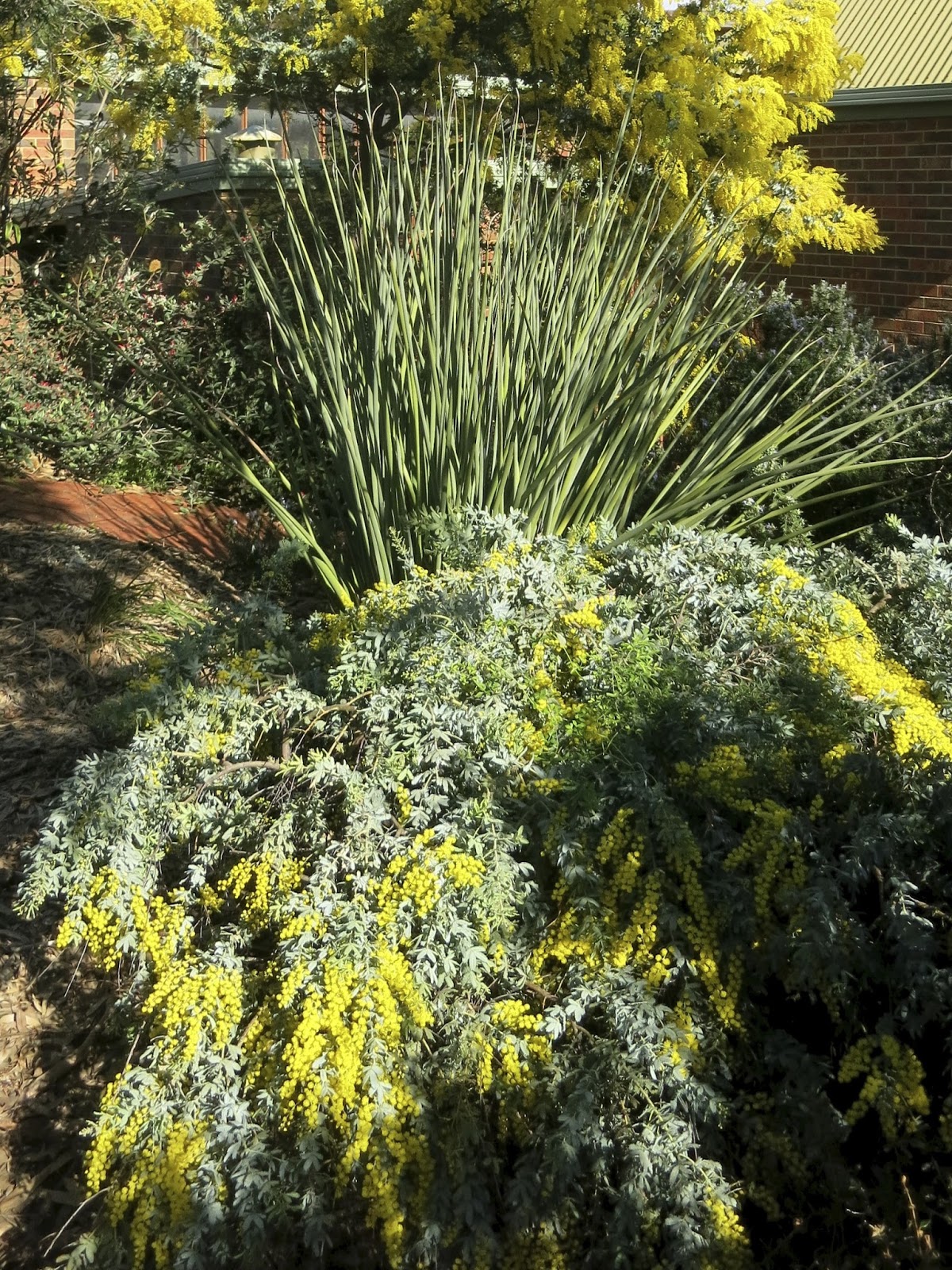 ROADSIDE IKEBANA: August 2016