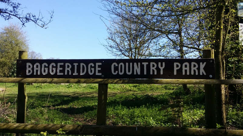 Lucy's Wednesday walks: Himley to Baggeridge - a popular Black Country walk