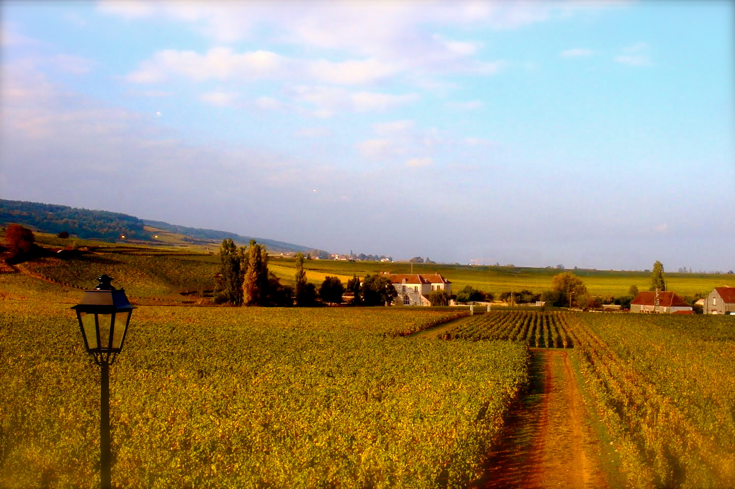 beaune - borgonha - frança