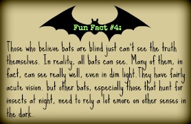How do bats use ultrasound to navigate? : SIXTH, how do bats use ...