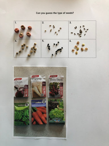 Isaac's Vegetable Growing Project