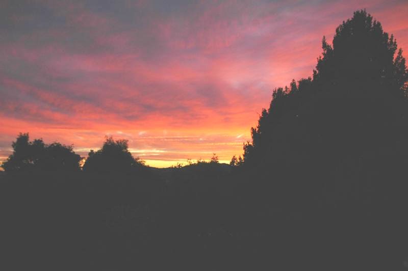 The Nature of Robertson: Soft sunset over Robertson