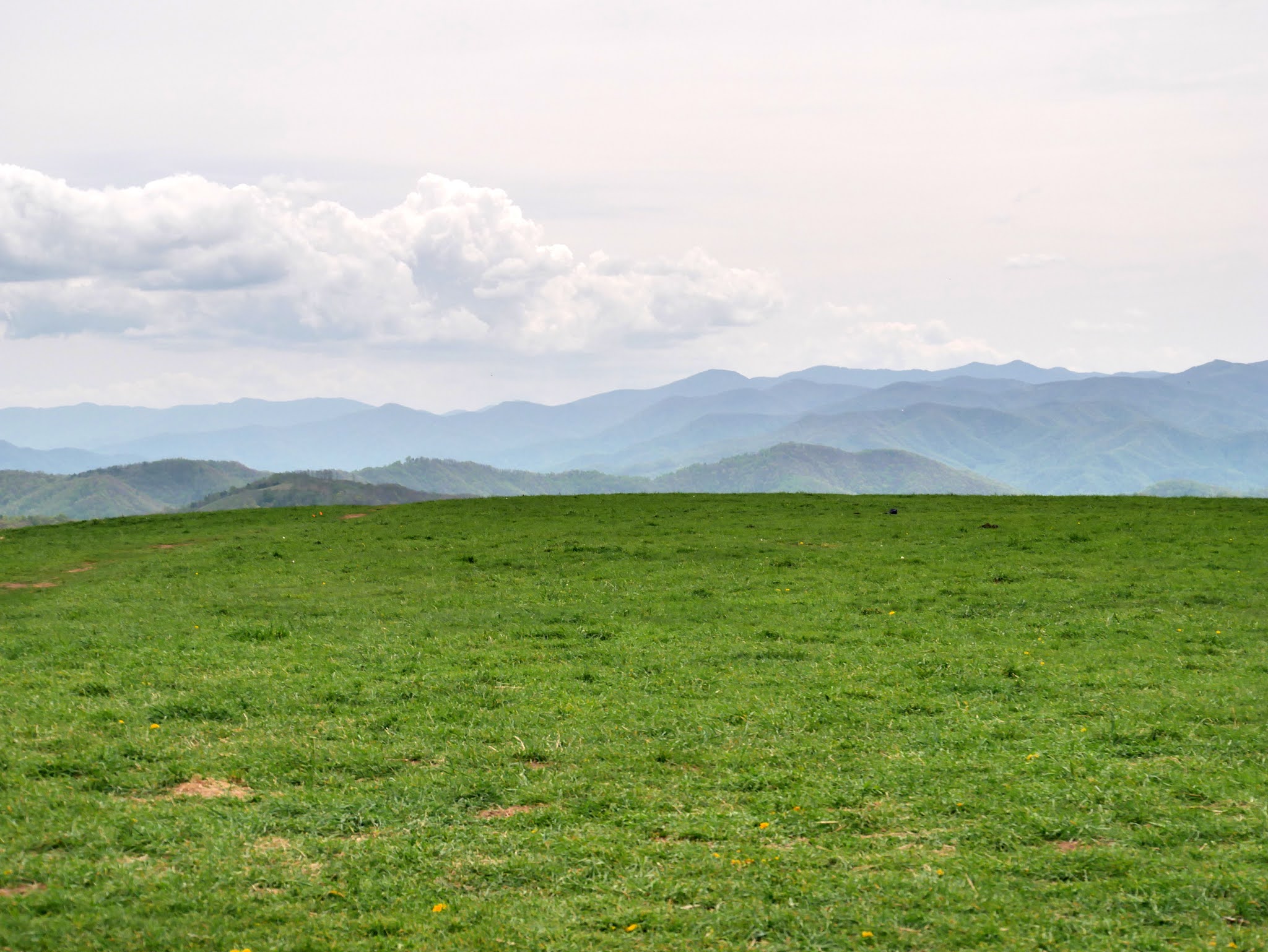 American Travel Journal: Max Patch Summit to Lemon Gap - Appalachian Trail