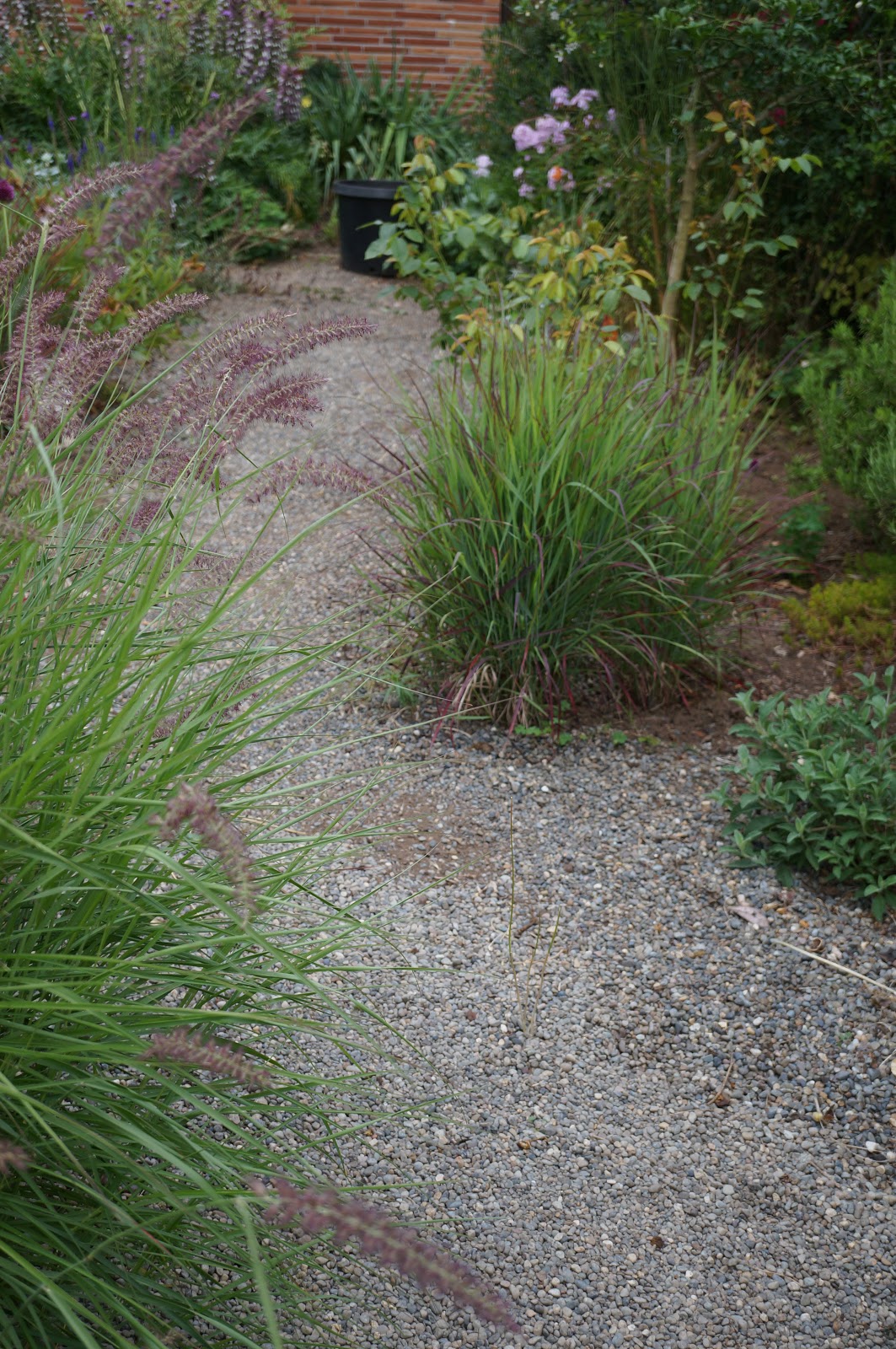 Whatsitgarden: Path clearing