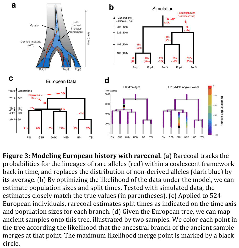 race/history/evolution notes: Iron Age and Anglo-Saxon genomes from ...