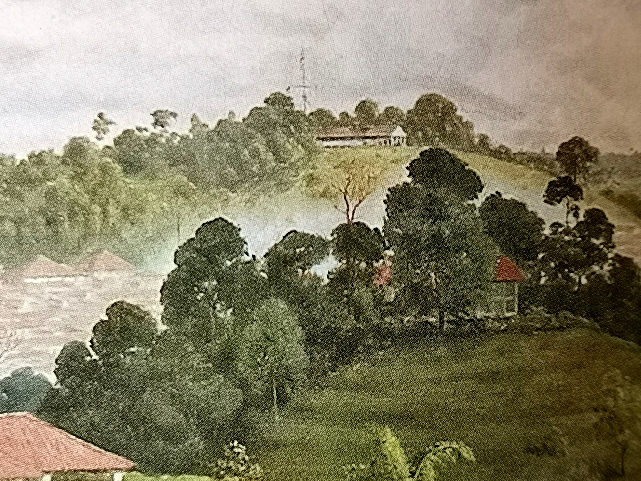 Singapore in the 1850s as seen from Mount Wallich by Percy Carpenter ...