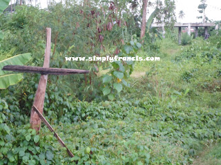 Bayug Island: A Hidden Beauty Beyond The Ruins II - Simply Francis