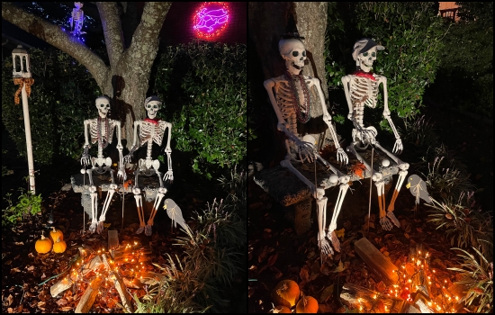 Runs for Cookies: Super Creative Skeleton Displays for Halloween! (repost)