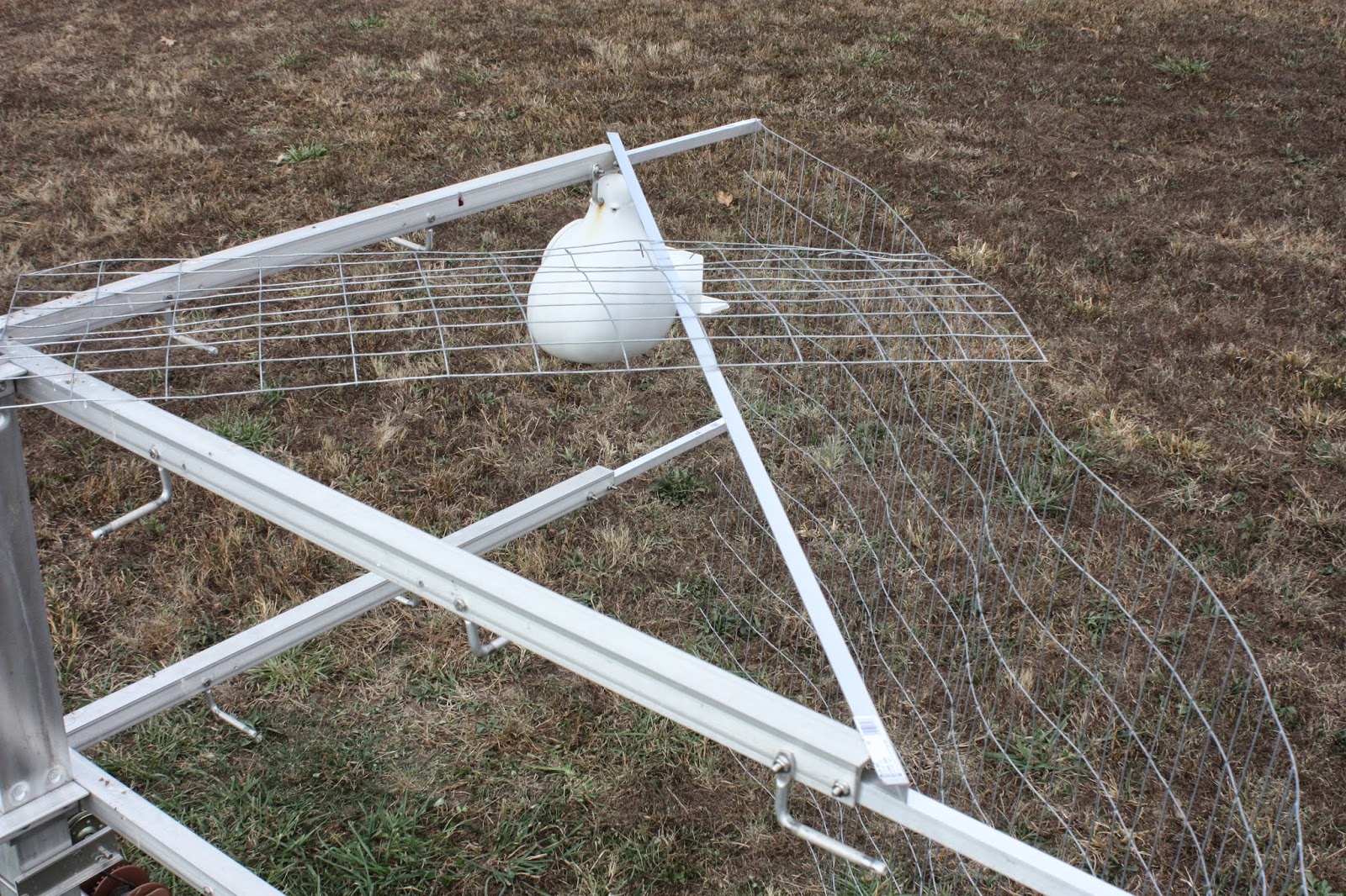 The Birds & The Bees: The Freeze Owl Block (FOB)