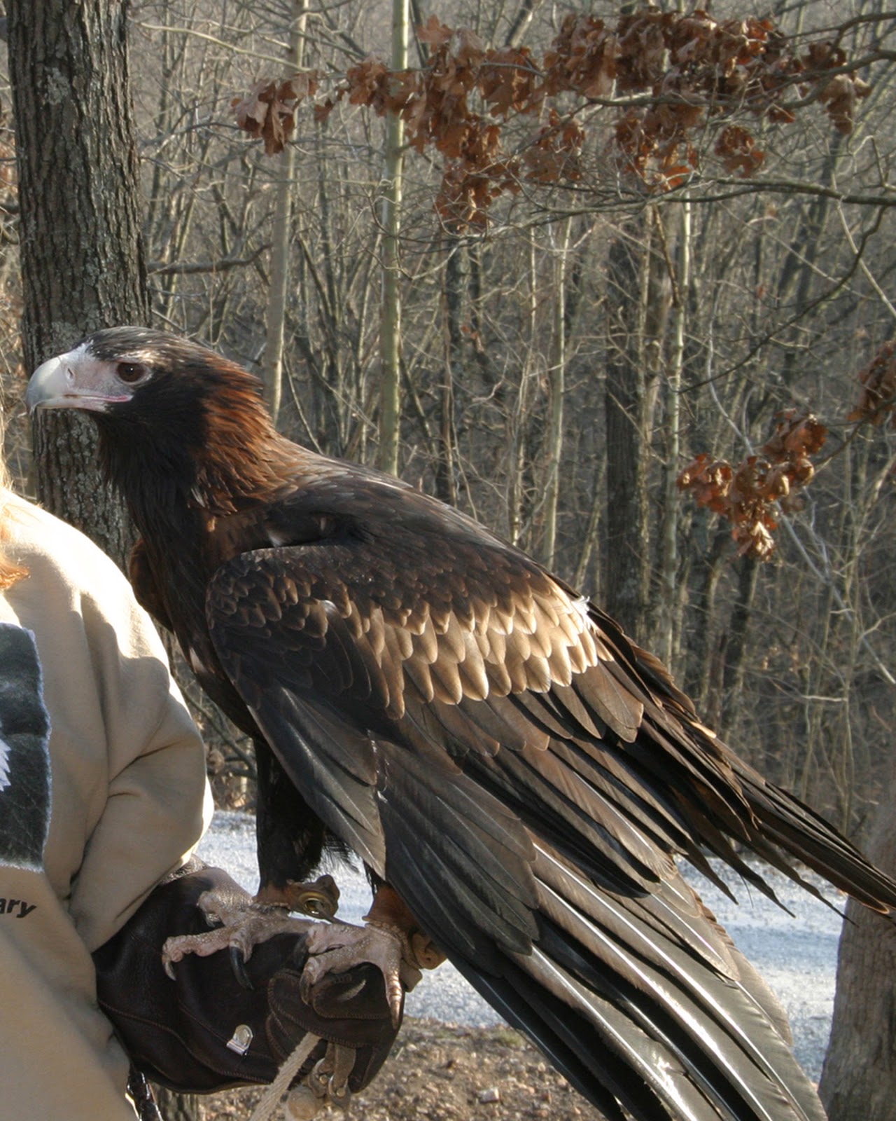 World Bird Sanctuary: February 2013