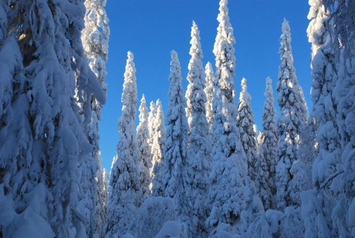 Toimarin elämää Sastamalassa