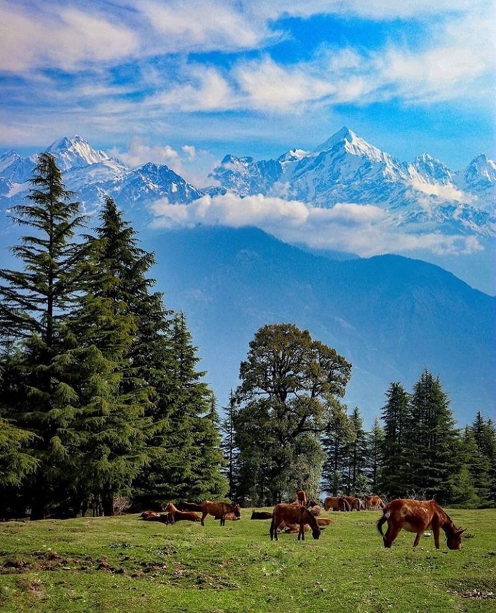 Top 5 Places to visit in Manali