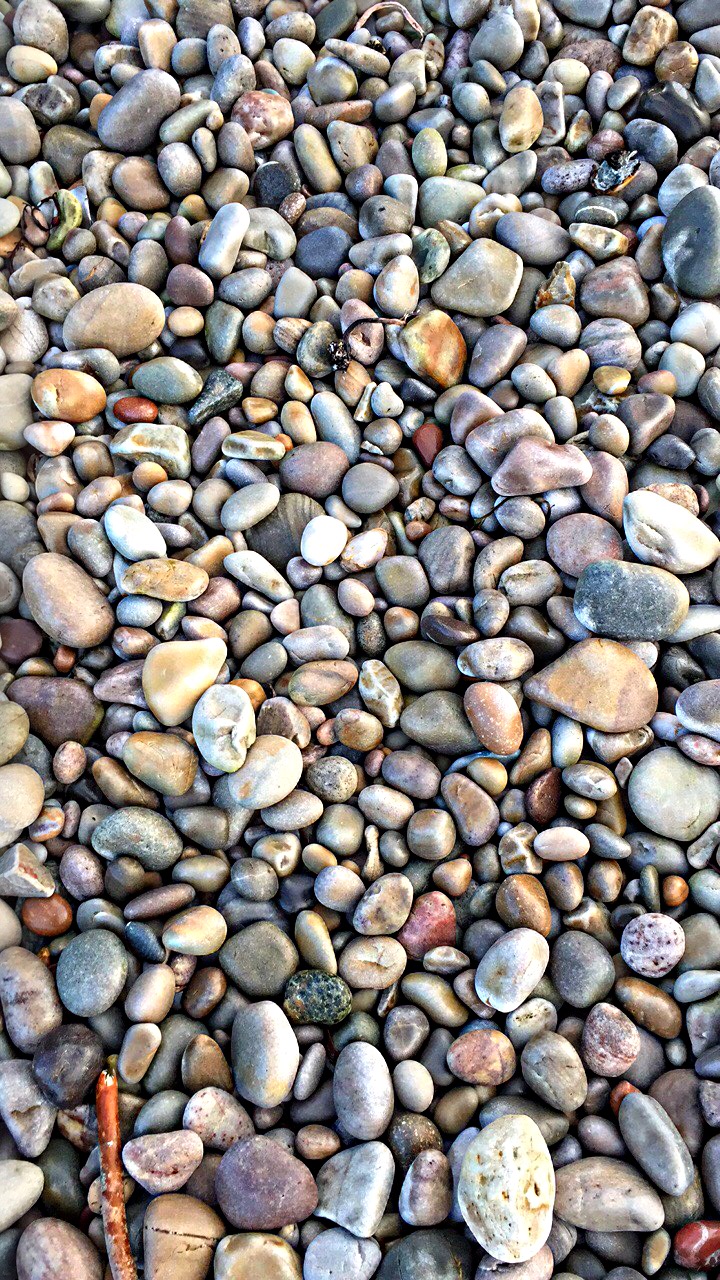 Camouflage in the Rocks - Sequin Cinderella