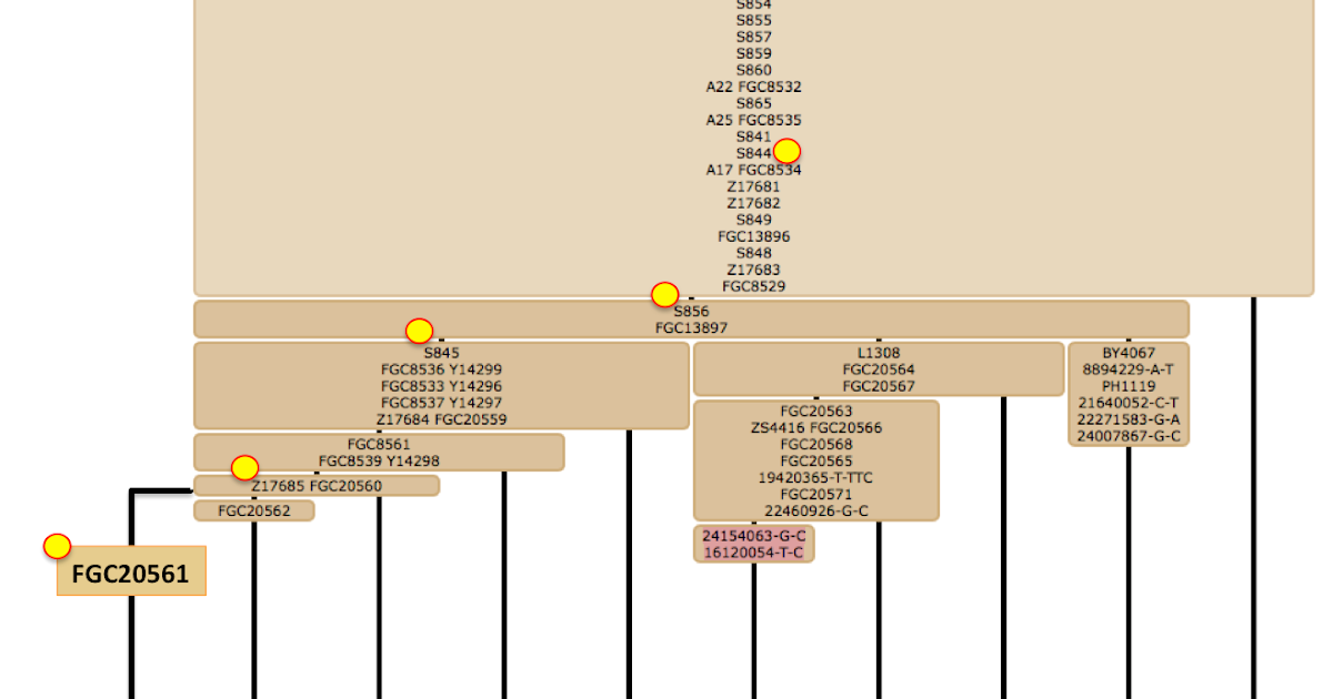 Farrell DNA Project: The Origins of R1b-GF2 (Part 3) - our nearest ...