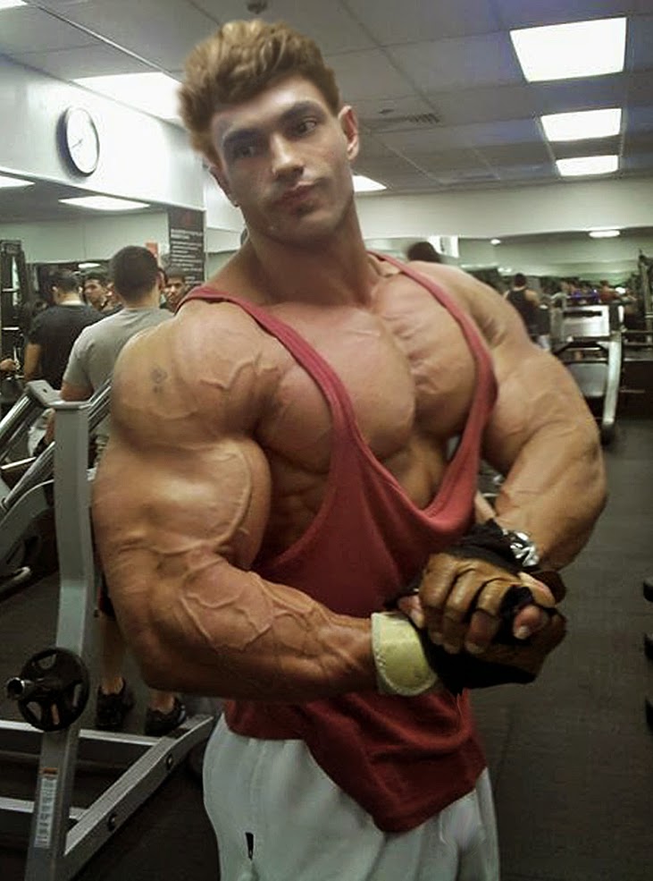 Into the Vault BUILT by tallsteve: Muscles, Muscles, Muscles