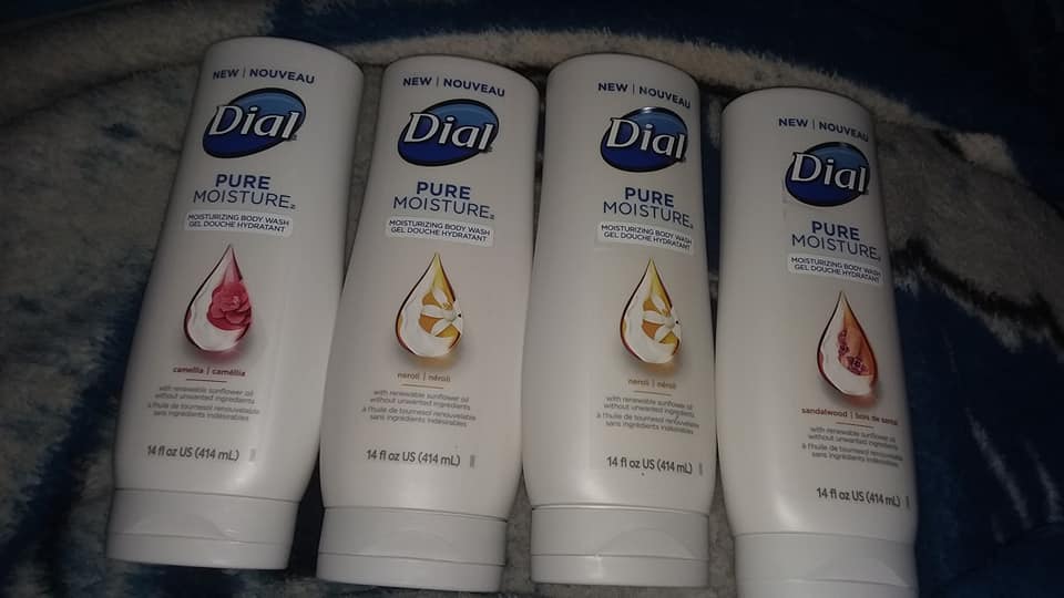 Try Out these New Dial Products - ChitChatMom