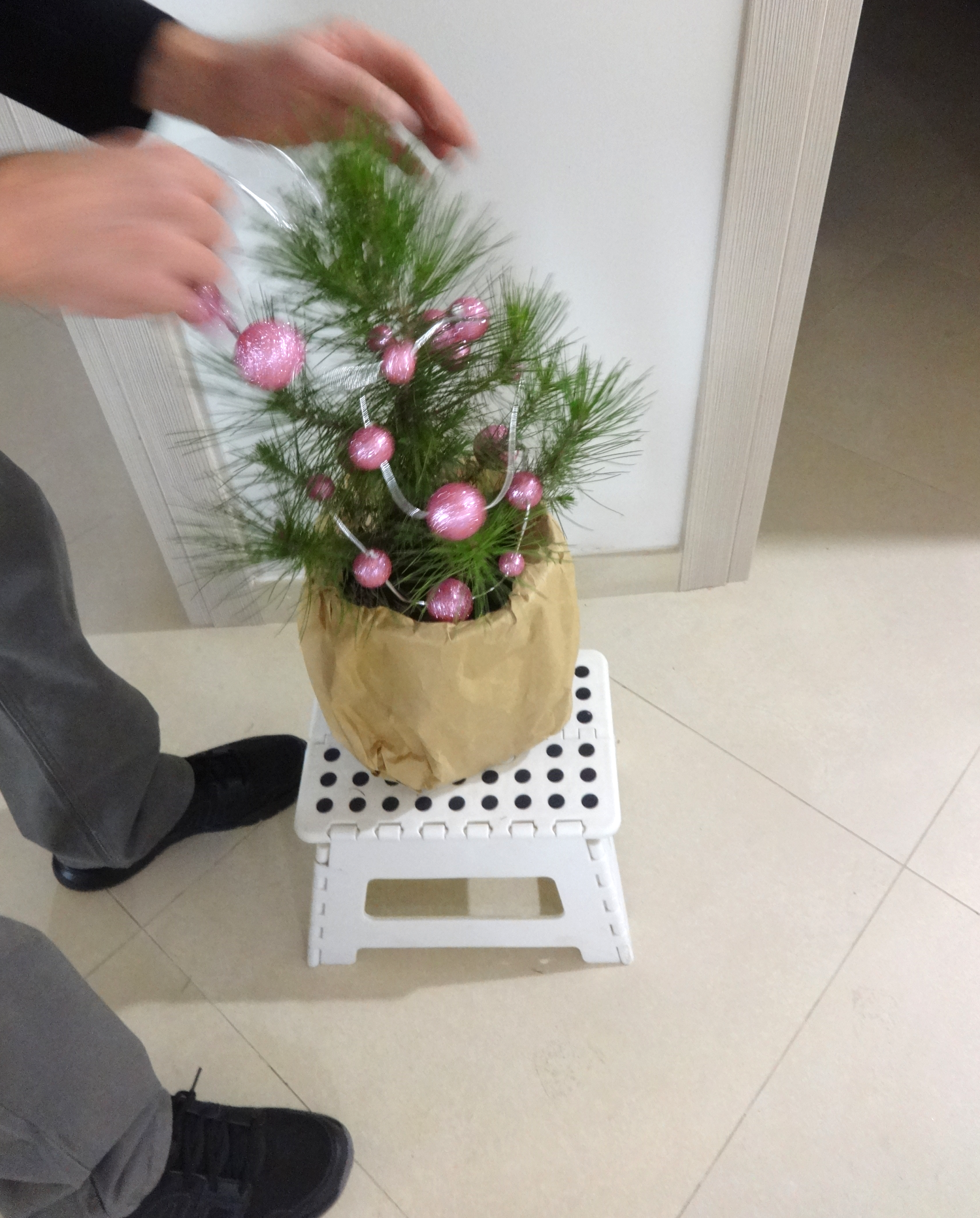 Ovillo de Eli: Nace una Tradición - Pinito de Navidad 2020