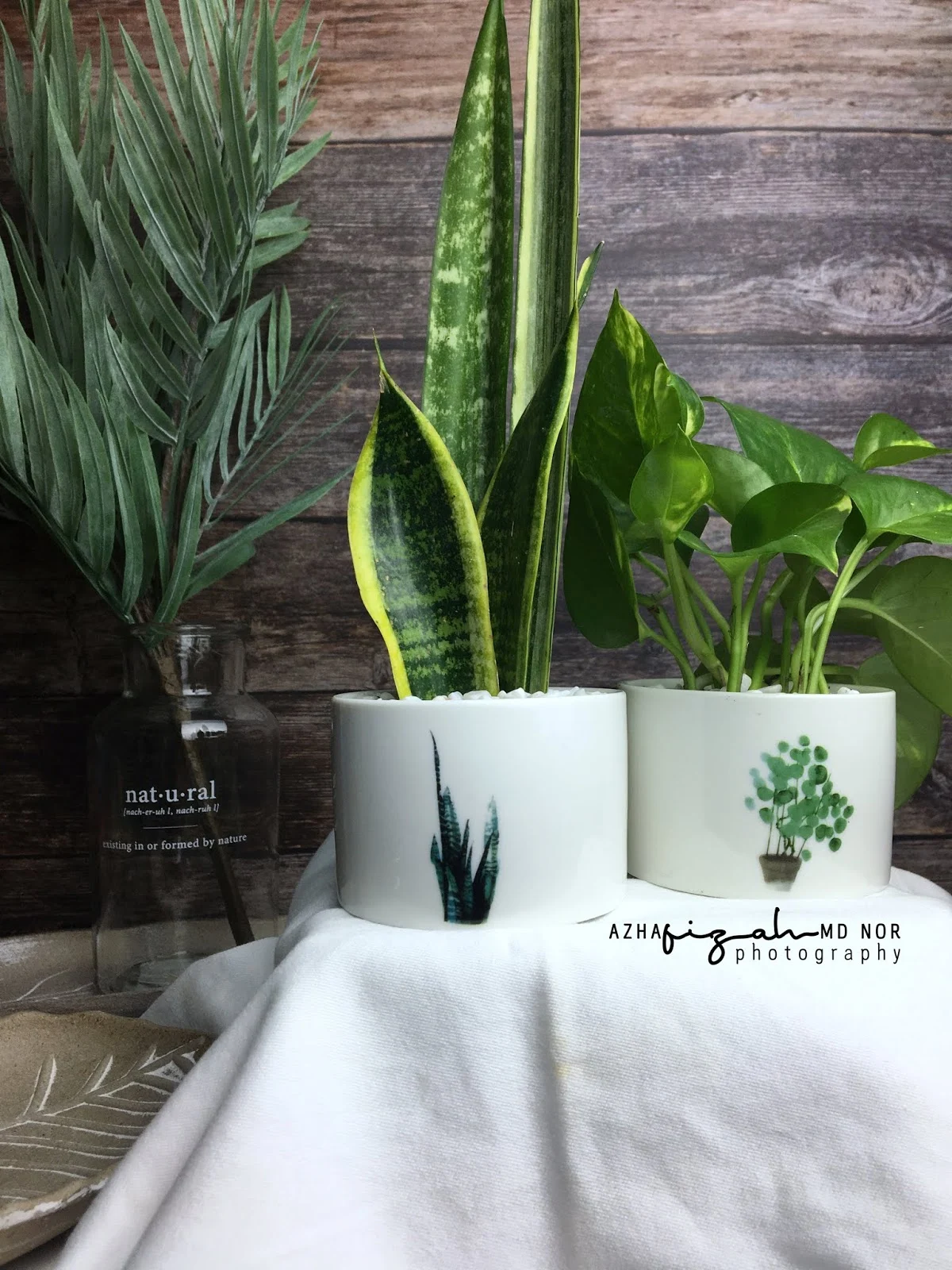 Tersuka Dengan Ceramic Pots KAISON | Blog Sihatimerahjambu