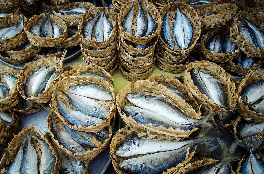 Waste management : How To Manage Waste Generated In The Fish Market?