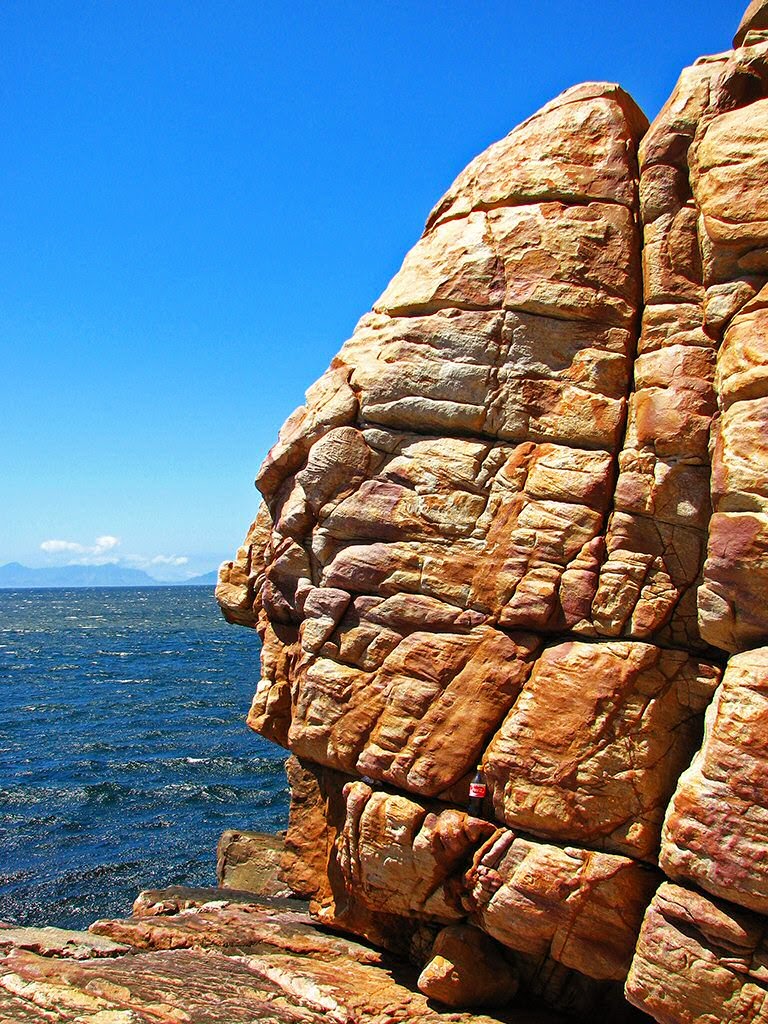 Cape Point Nature Reserve: Rooikrans II