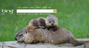 NAVEGADORES Y BUSCADORES DE INTERNET: BING