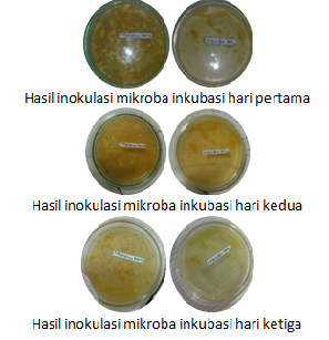 Inokulasi Mikroba