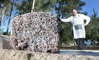 Australian Lamington Official Website