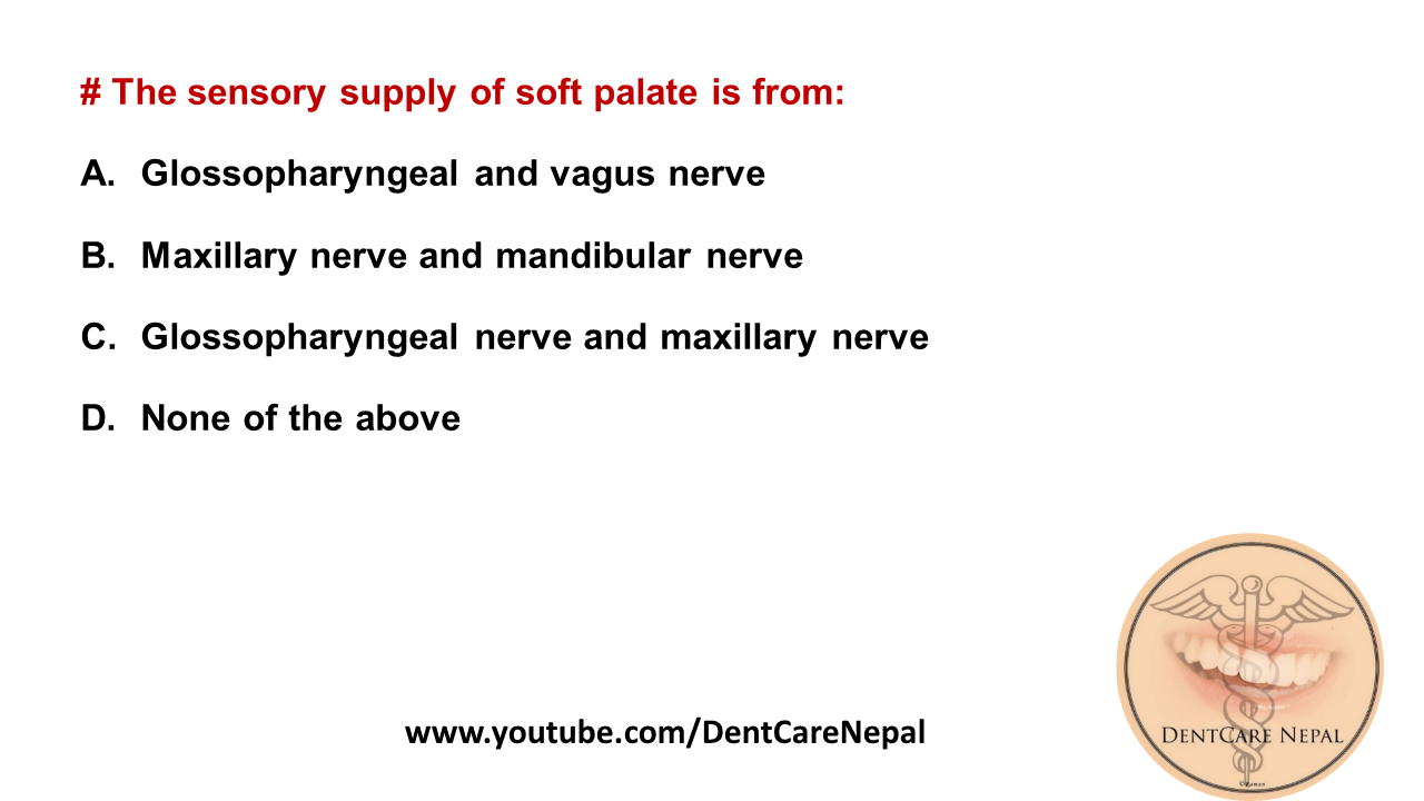 Dentosphere : World of Dentistry: Sensory supply of soft palate