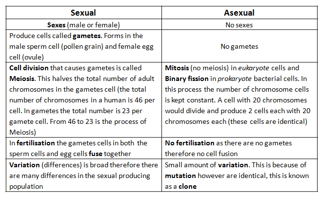 Tatiksha's Biology Blog :): 3.1 Sexual and Asexual Reproduction