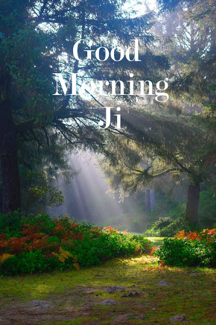 Top 10 Good Morning Ji images, greetings, pictures for whatsapp ...