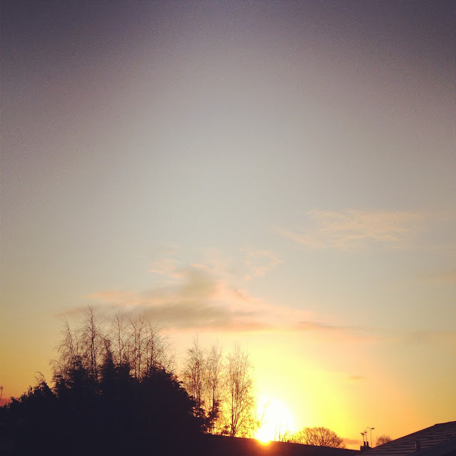 We Made This Home: Where has spring gone?