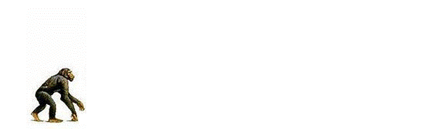 LA EVOLUCIÓN HUMANA.