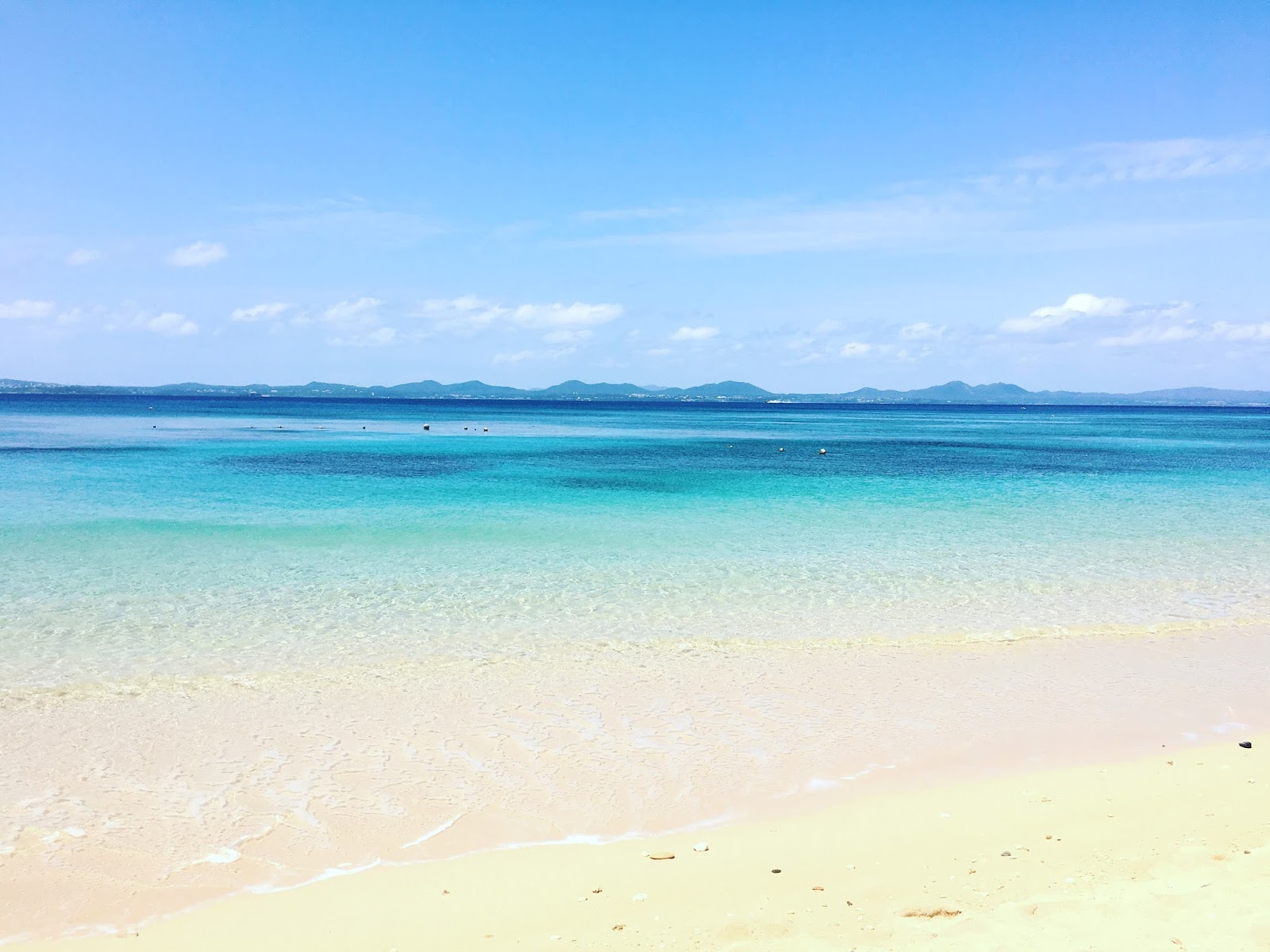 Spring Break: Island Hopping, Rainbow Bagels, and the famous Kokasai ...