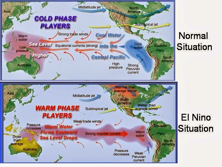 El Niño Southern Oscillation