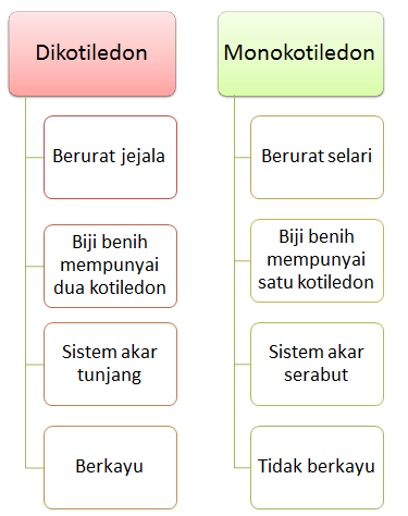 ScienceBiodiversity: Klasifikasi tumbuhan