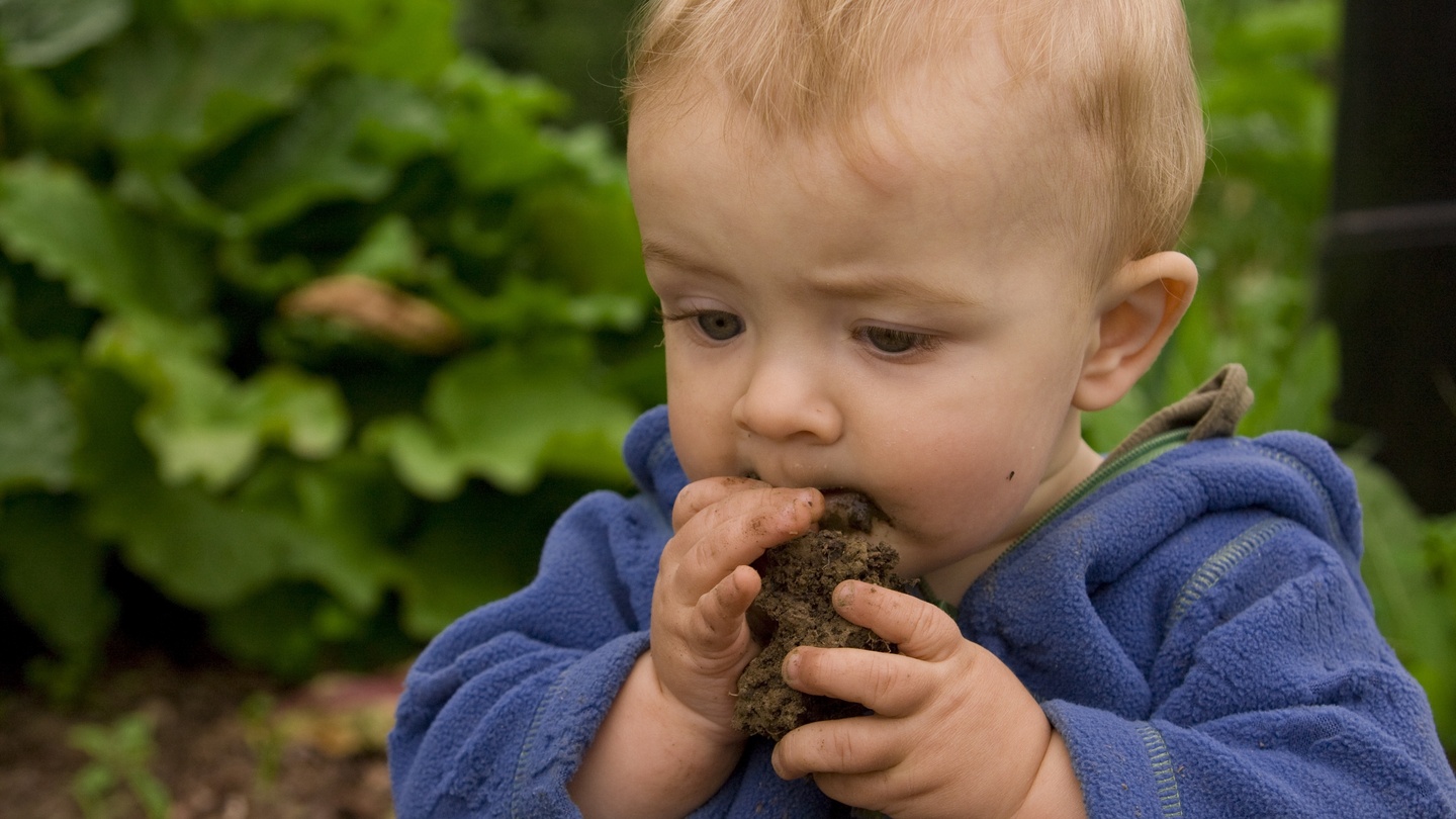 How to stop a child from eating soil, Mud-What is Pica: Reasons, Signs ...