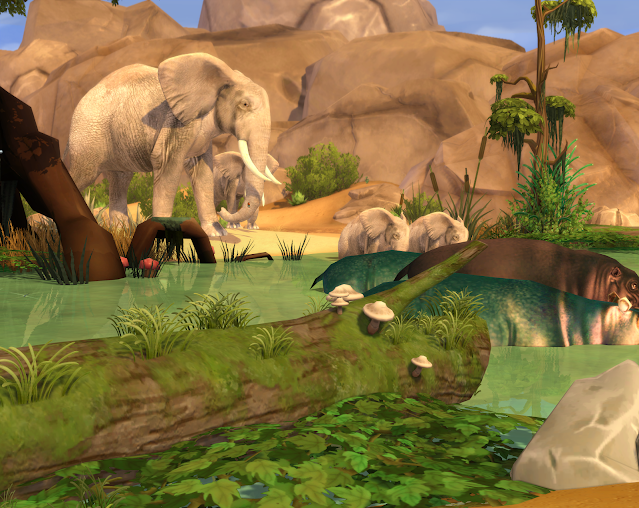 Go To Safari - Lily Sims