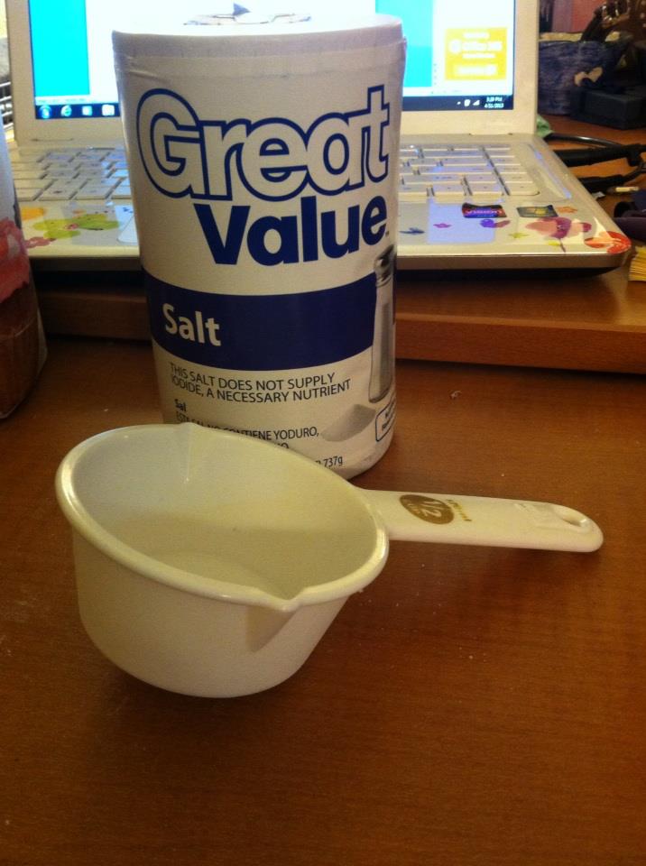 Elementary Interdisciplinary Lessons!