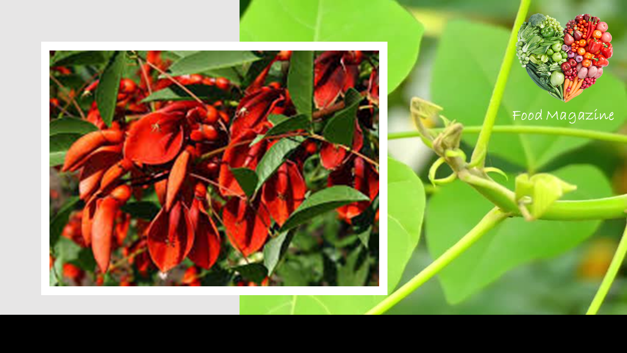 Remedial Effects of "Erabadu" or Coral Tree