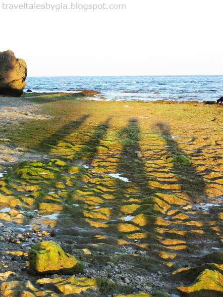 Traveltales: The Philippines and Beyond: NEGROS '10: Antulang Beach Resort