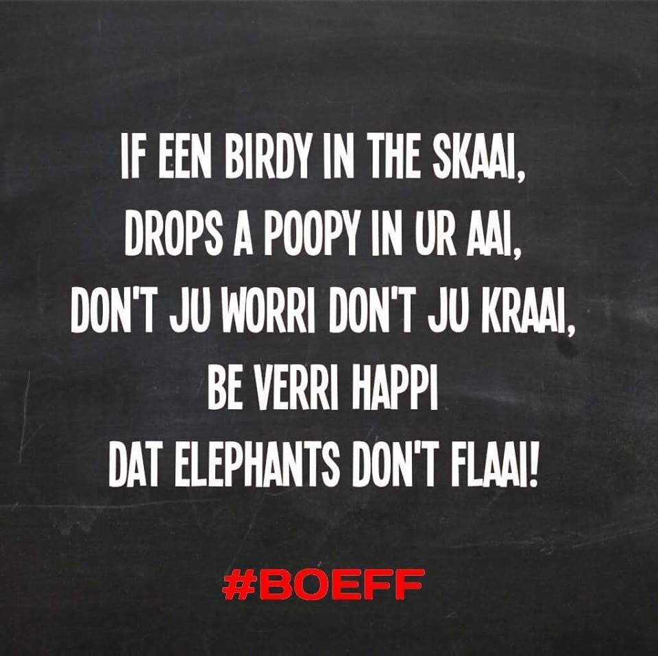 Quilts van kippetje: Humor op de woensdag....