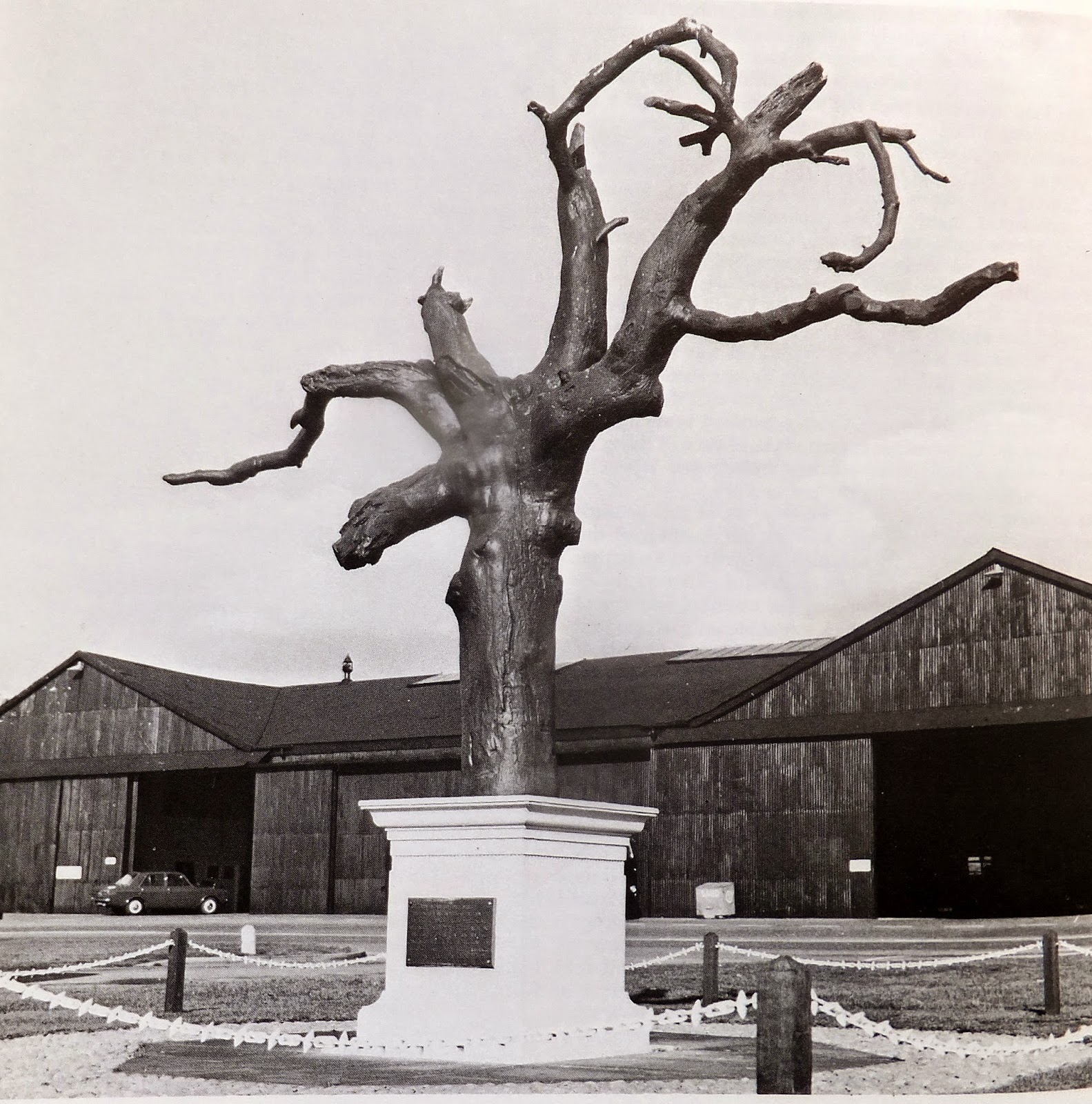 who, what, why,when & where