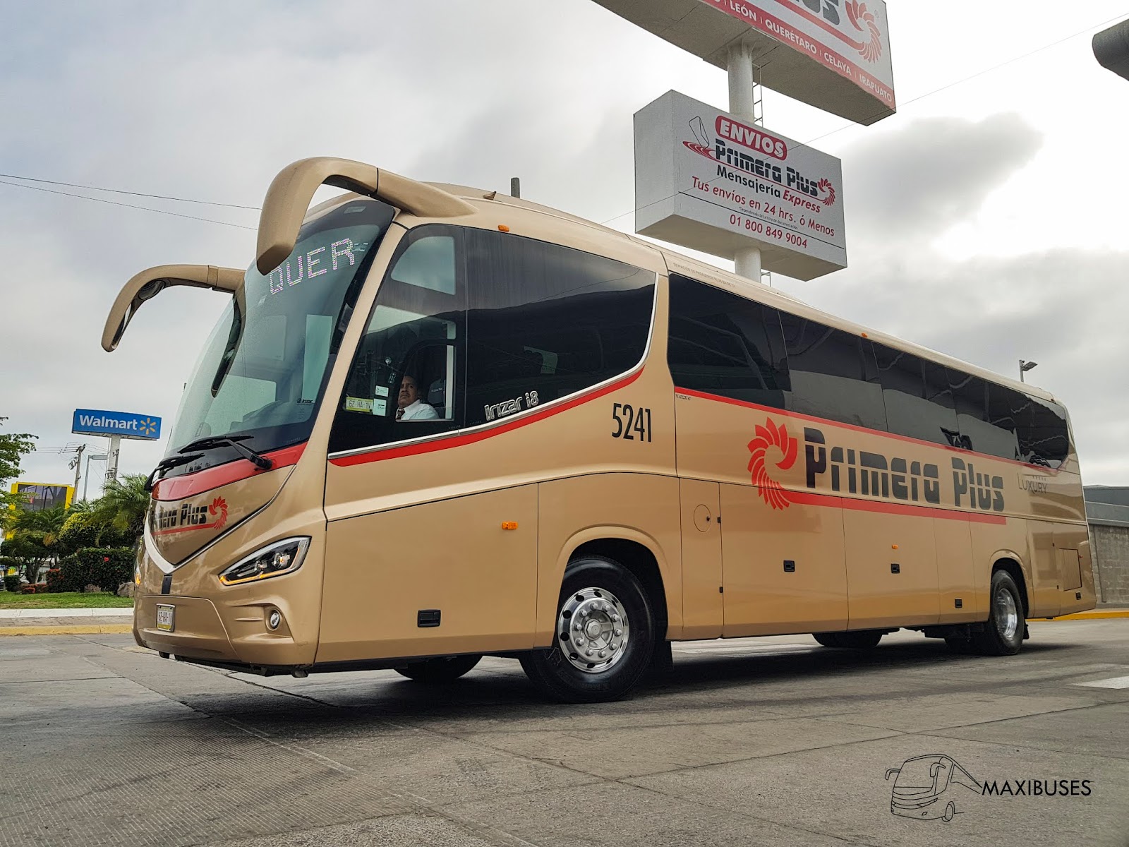 MAXIBUSES: PRIMERA PLUS