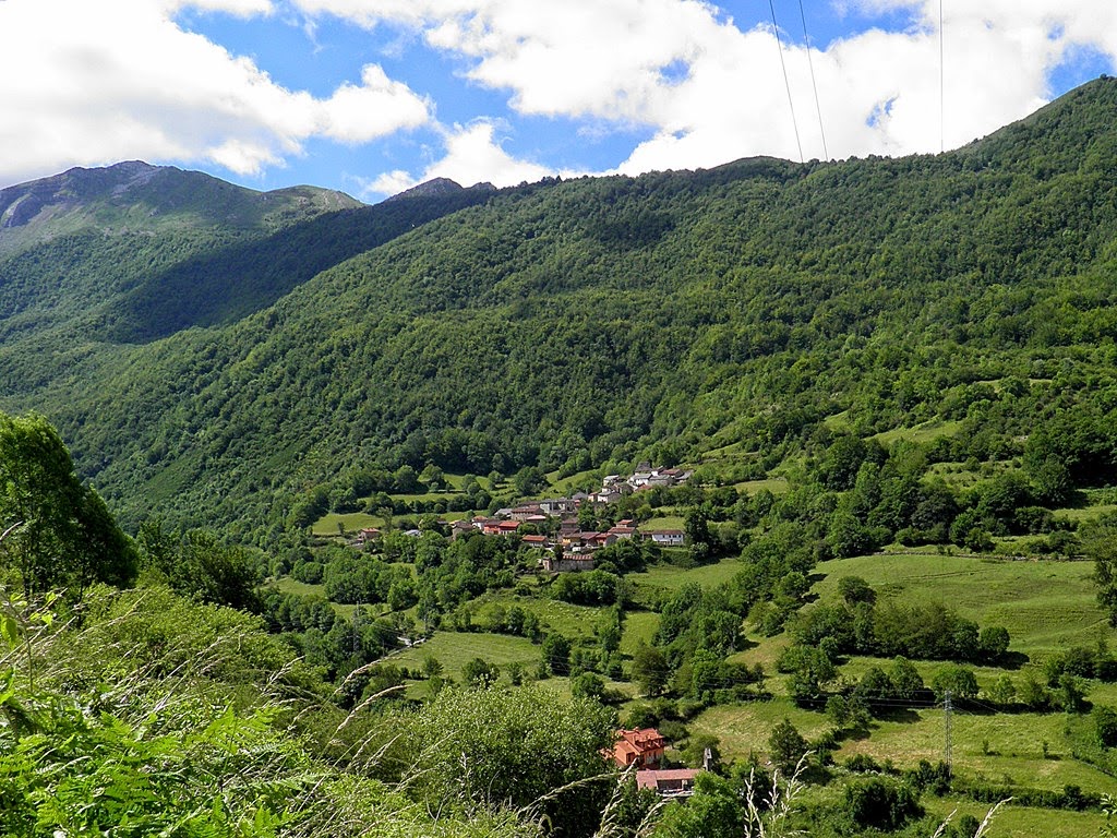 El Coto con el hayedo de La Enramada de fondo...
